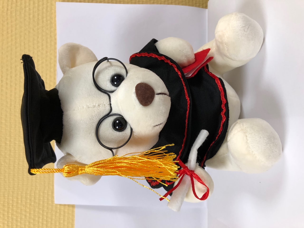 Oso de peluche graduado - Diplomissimo